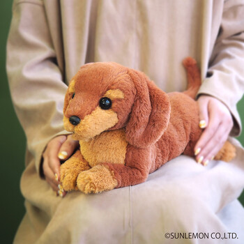 Sunlemon Original旗舰店 - 京东