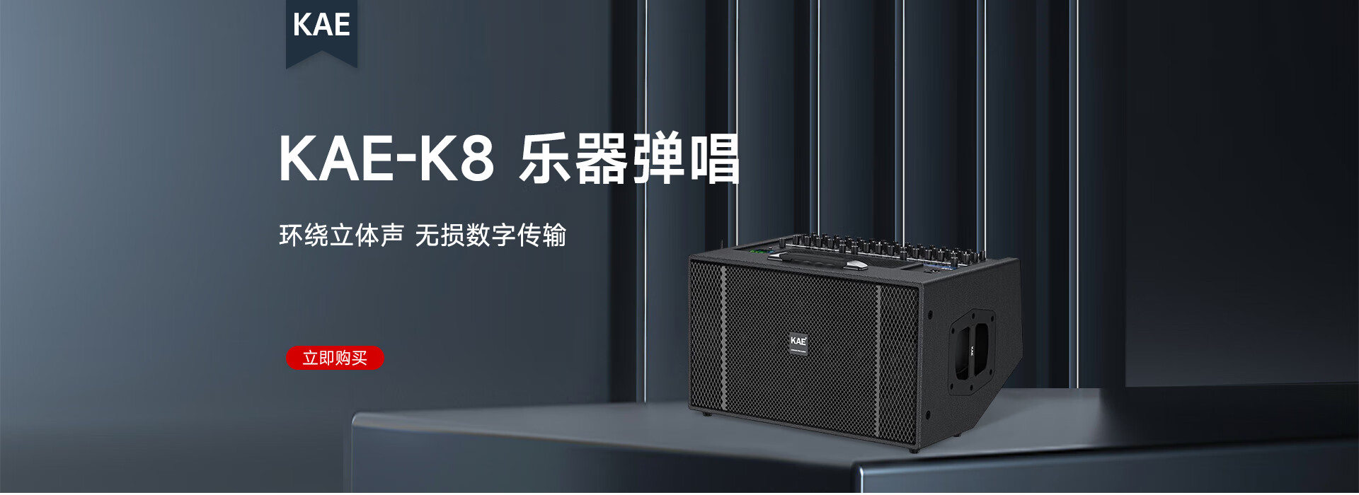 KAE音响旗舰店 - 京东