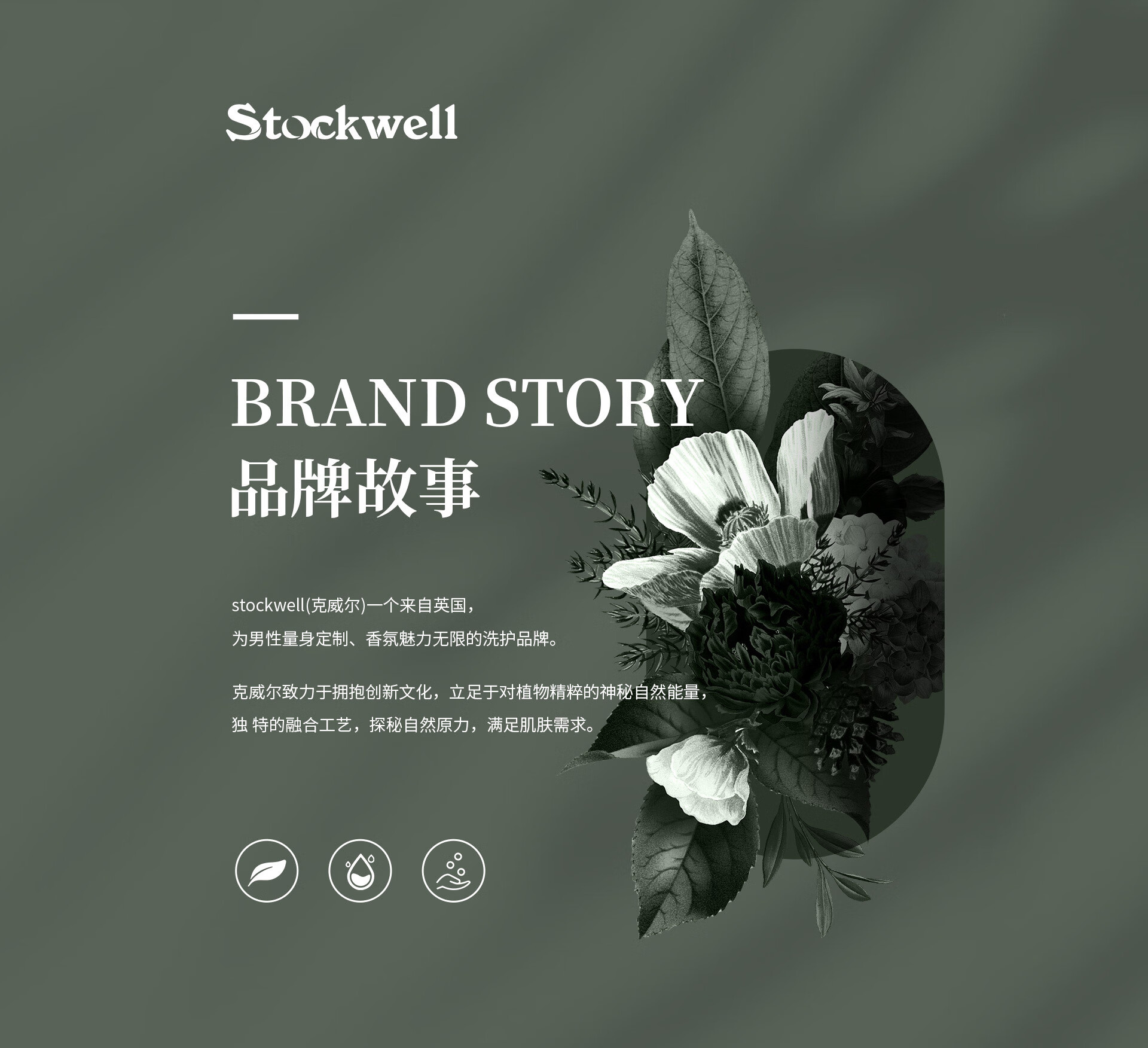 Stockwell京东自营旗舰店 - 京东