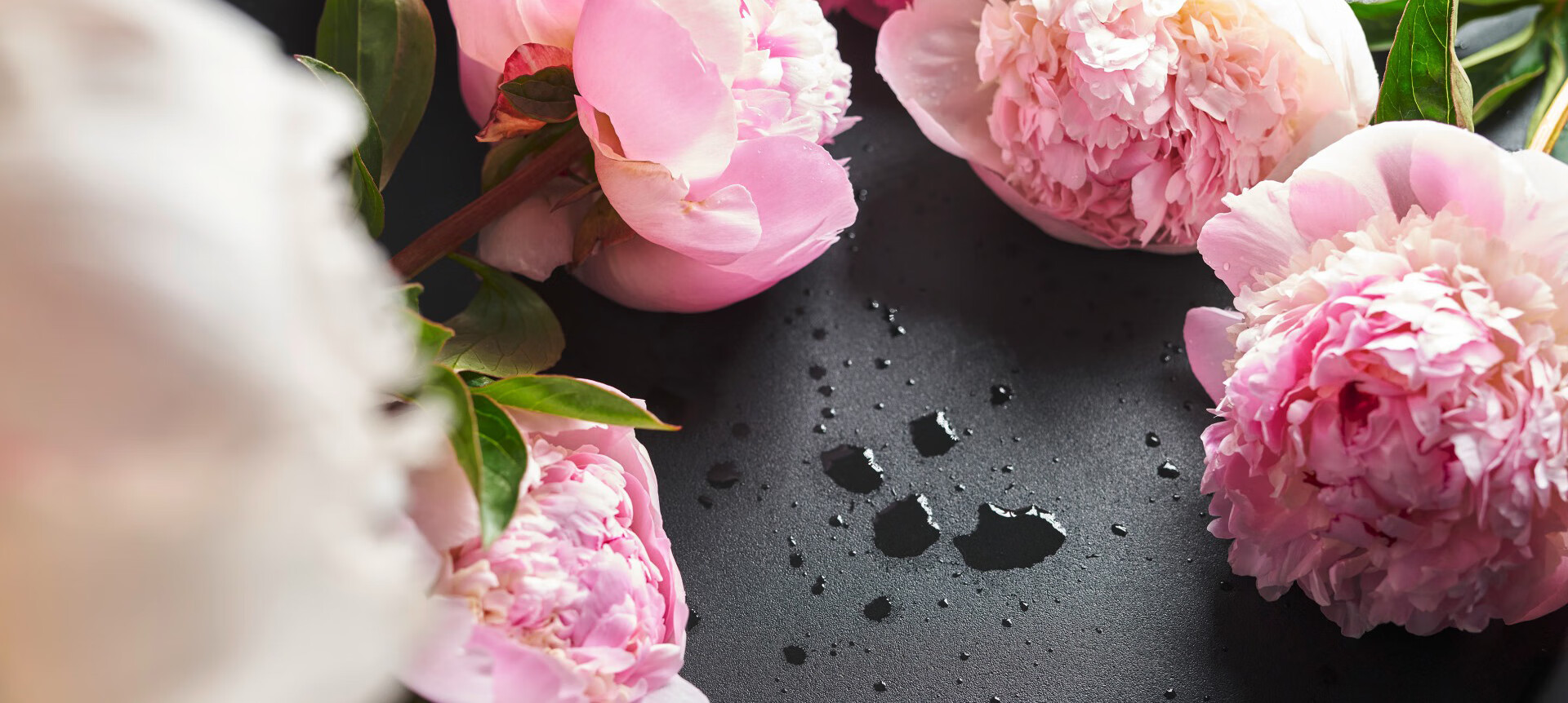 铂浪高BLANCO旗舰店 - 京东