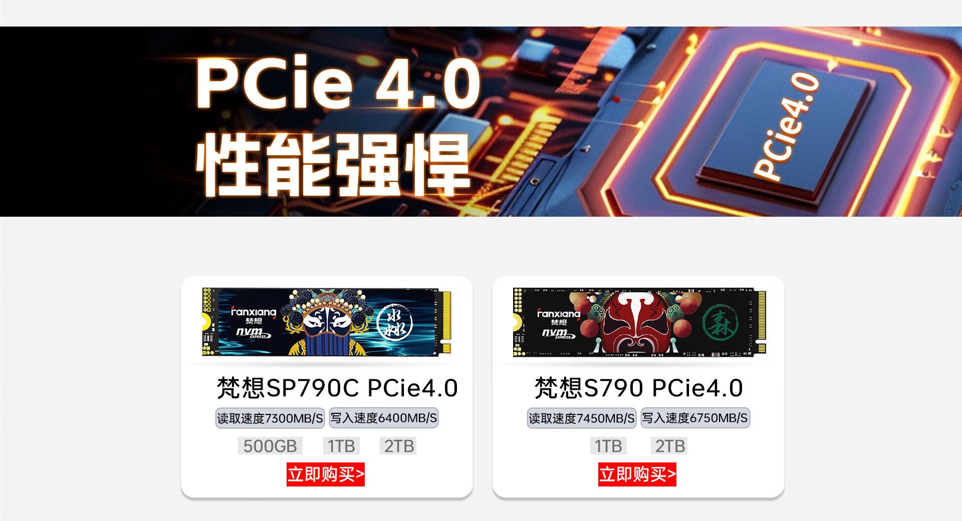 梵想存储旗舰店 - 京东