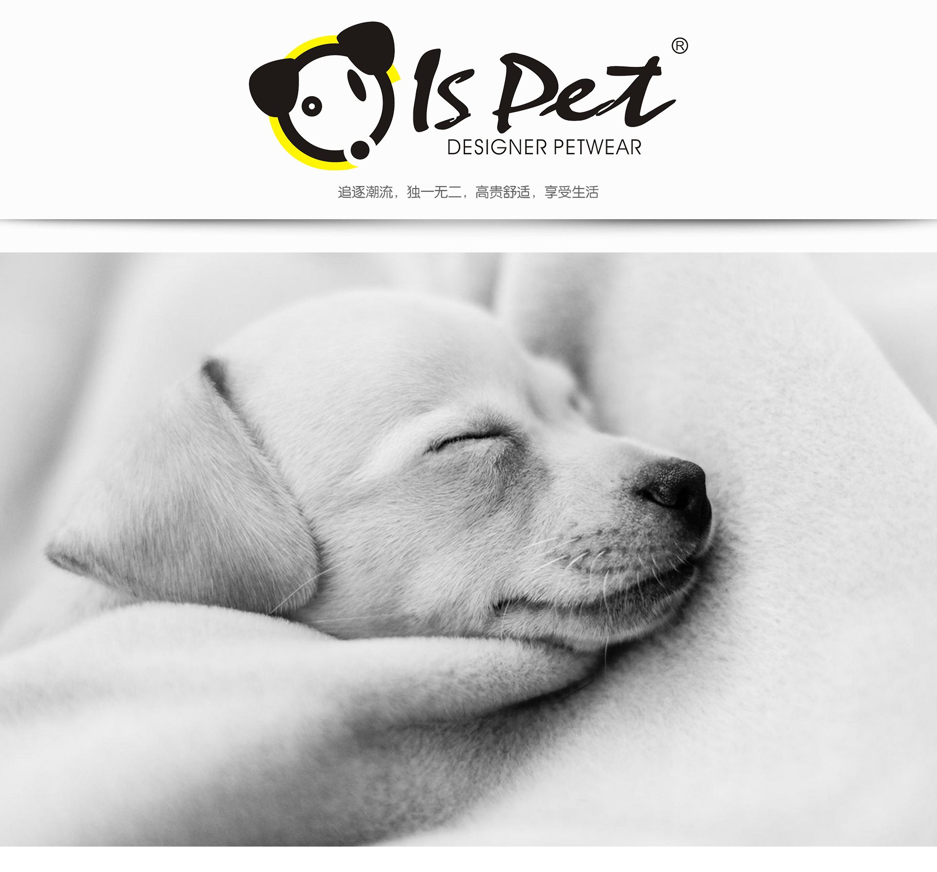 ISPET官方旗舰店 - 京东ISPET品牌介绍