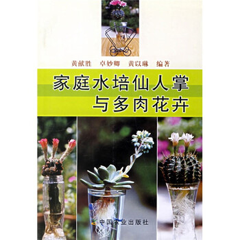 家庭水培仙人掌与多肉花卉