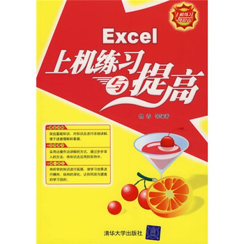 Excel上机练习与提高