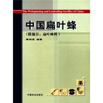 中国扁叶蜂