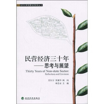 民营经济三十年：思考与展望