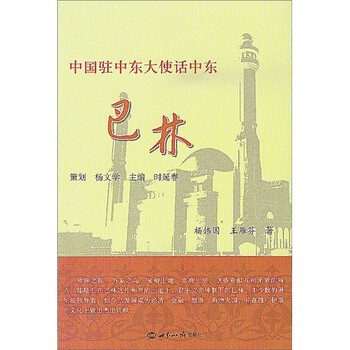 中国驻中东大使话中东：巴林