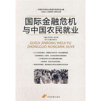 国际金融危机与中国农民就业
