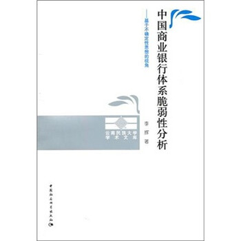 中国商业银行体系脆弱性分析