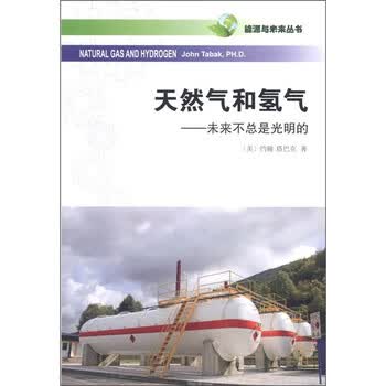 能源与未来丛书·天然气和氢气：未来不总是光明的