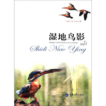 好奇心书系：湿地鸟影