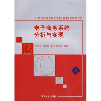  电子商务系统分析与实现9787302209850