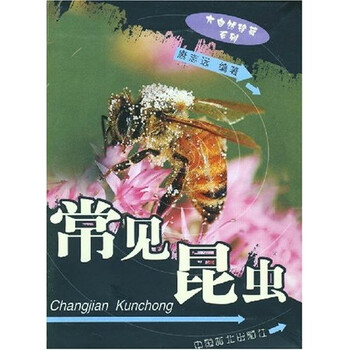 常见昆虫（全彩版）