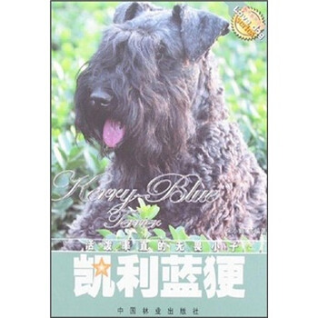 {正版新书}凯利蓝〓9787503845987
