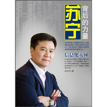苏宁：背后的力量（信息化天梯）