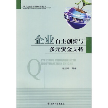 企业自主创新与多元资金支持