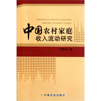 中国农村家庭收入流动研究