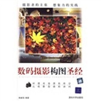 【正版新书】数码摄影构图~~   9787302213048