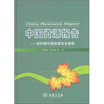 中国资源报告：新时期中国资源安全透视