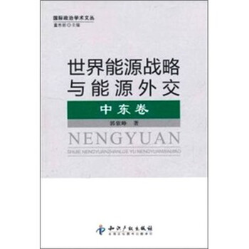 世界能源战略与能源外交：中东卷