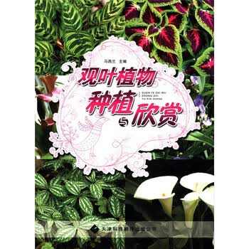 观叶植物种植与欣赏