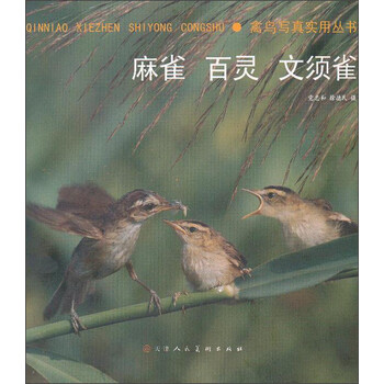麻雀 百灵 文须雀