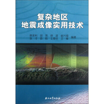复杂地区地震成像实用技术