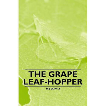 The Grape Leaf-Hopper