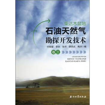 柴达木盆地石油天然气勘探开发技术（卷3）