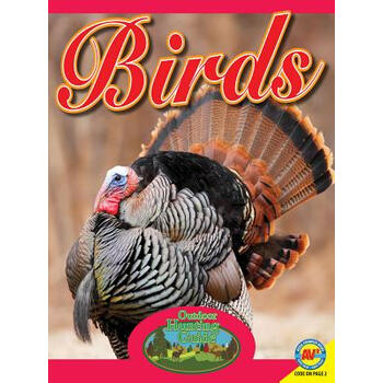 【】Birds with Code