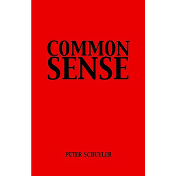 【】Common Sense