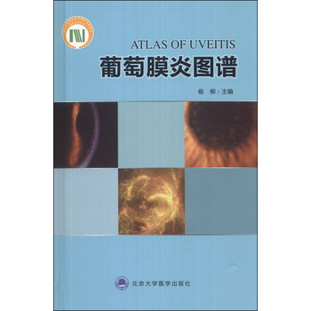 葡萄膜炎图谱