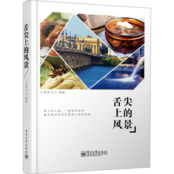 舌尖上的风景9787121220265-