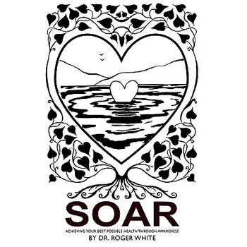【】Soar: Achieving Your Best Possib