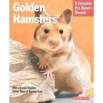 Golden Hamsters