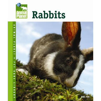 【】Rabbits
