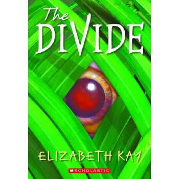 【】The Divide