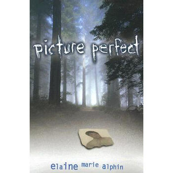 【】Picture Perfect