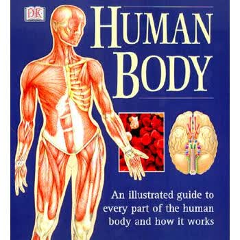 【】The Human Body