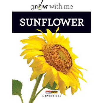 【】Sunflower