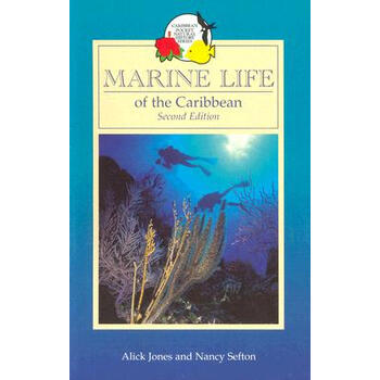 【】Marine Life of the Caribbean