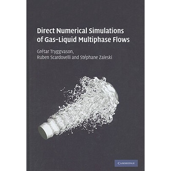【】Direct Numerical Simulations of