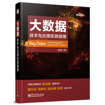 正版书籍 大数据9787121215605