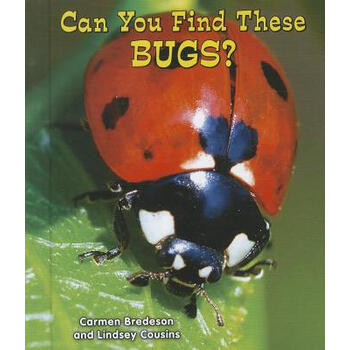 【】Can You Find These Bugs?