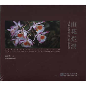 山花烂漫9787513025331知识产权