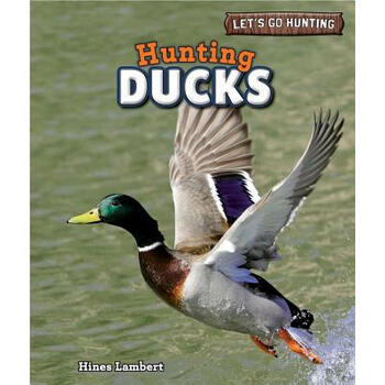 【】Hunting Ducks