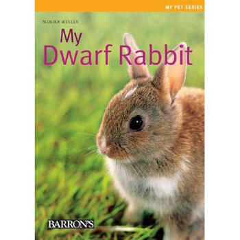 My Dwarf Rabbit