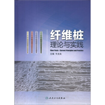 [正版图书]纤维桩理论与实践
