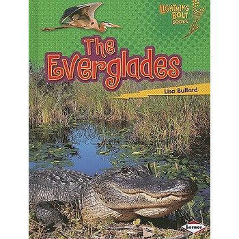 【】The Everglades