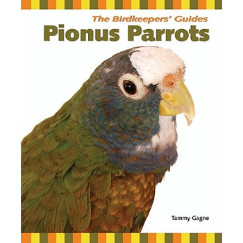【】Pionus Parrots